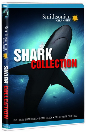 Shark Collection | Archambault