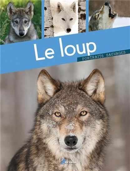 Loup(Le) | Archambault