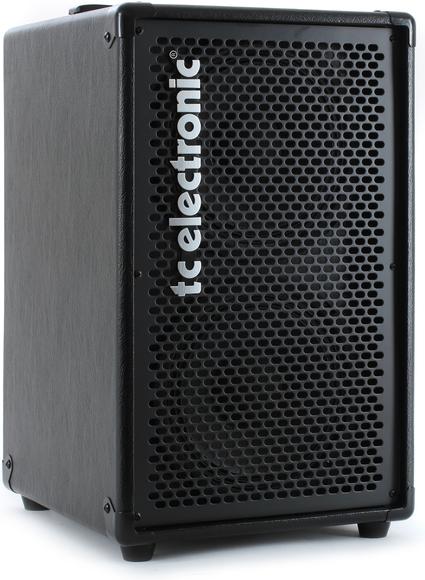 Combo De Basse BG250 2 X 8 | Archambault