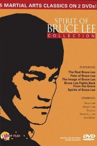 Spirit of bruce lee collection | Archambault