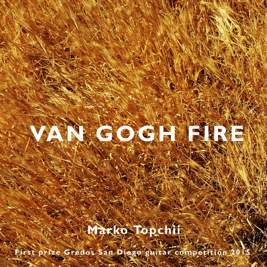 Van Gogh Fire | Archambault