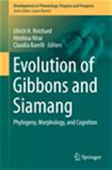 Evolution of Gibbons and Siamang | Archambault