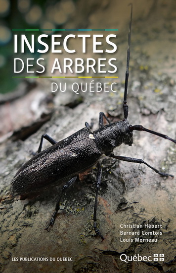 Insectes des arbres du Québec | Archambault