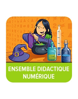 Tam tam mathématique : Ensemble didactique numérique : Enseignant, 4e ...