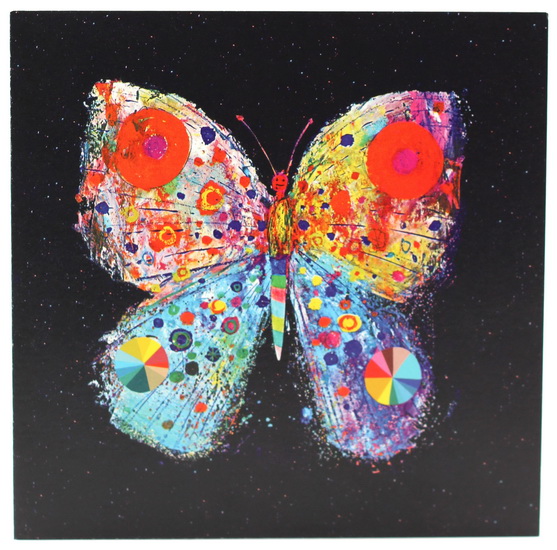Brian Wildsmith : Papillon multicolore | Archambault