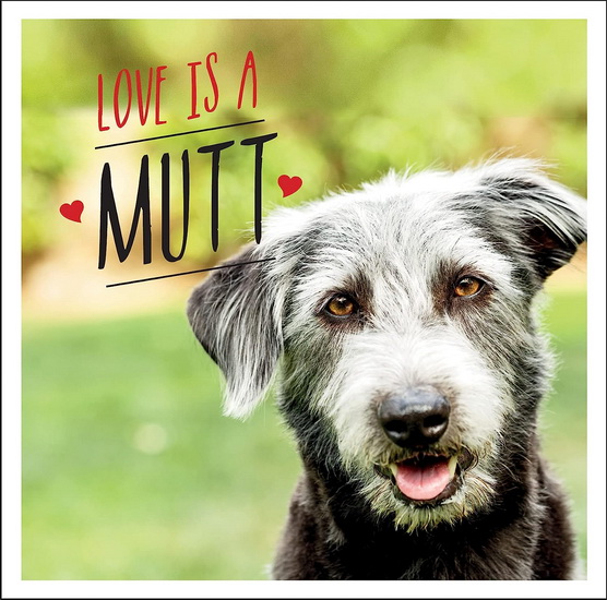 Love is a Mutt : A Dog - tastic Celebration of the Worlds Cutest Mixed ...