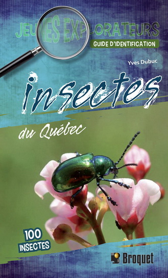 Insectes du Québec : guide d'identification N. éd. | Archambault