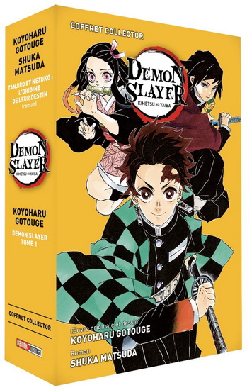 Coffret Demon slayer : roman jeunesse #01 + #01 | Archambault