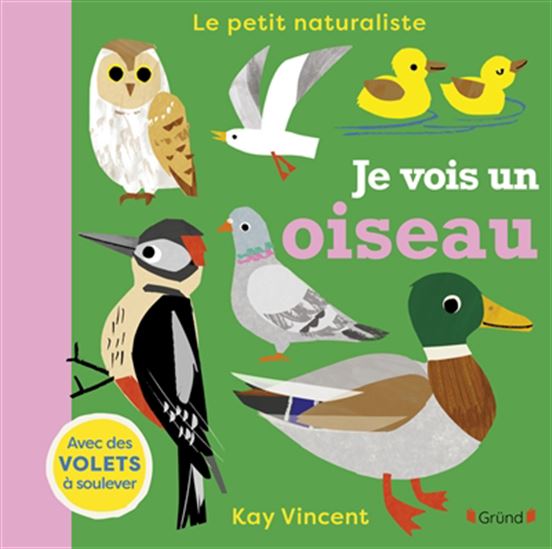 Je vois un oiseau | Archambault