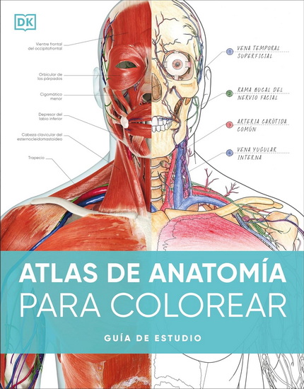 Atlas de anatomía para colorear (The Human Body Coloring Book): Guía de ...