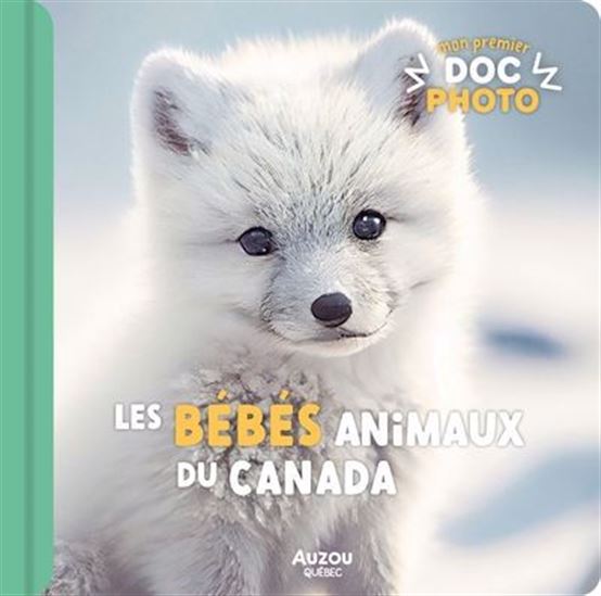 Bébés animaux du Canada(Les) | Archambault