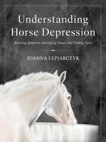 Understanding Horse Depression | Archambault