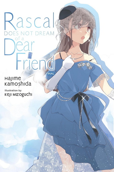 Rascal Does Not Dream of Dear Friend (light novel) | Archambault